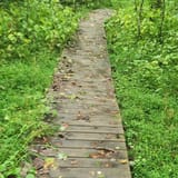 Bacon Ridge Trail: Phase 3, Maryland - 2,201 Reviews, Map | AllTrails