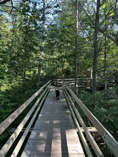 Best Hikes and Trails in Montgomery Pinetum Park | AllTrails