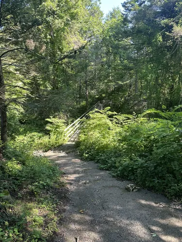 Best Hikes and Trails in Montgomery Pinetum Park | AllTrails