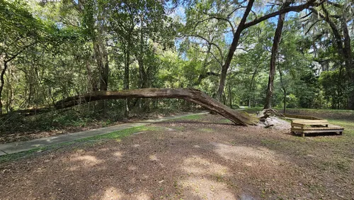 Best Hikes and Trails in Bivens Arm Nature Park | AllTrails