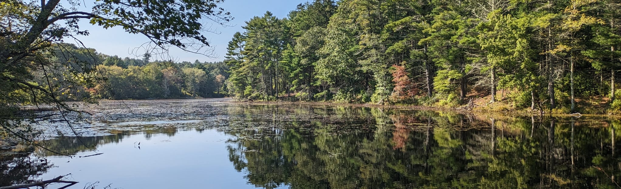 Fisherville Brook Wildlife Refuge Trail: 1,094 Reviews, Map - Rhode ...