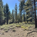 Inyo Craters Trail, California - 656 Reviews, Map | AllTrails