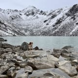 Reed Lakes Trail, Alaska - 925 Reviews, Map | AllTrails