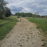 River Bluff Trail Loop, Illinois - 358 Reviews, Map | AllTrails