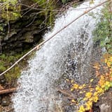 Cedar Falls Trail, Washington - 309 Reviews, Map | AllTrails