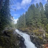 Silver Falls Loop, Washington - 2,815 Reviews, Map | AllTrails
