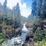 Silver Falls Loop, Washington - 2,815 Reviews, Map | AllTrails