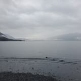 Tonsina Creek Trail, Alaska - 1,319 Reviews, Map | AllTrails