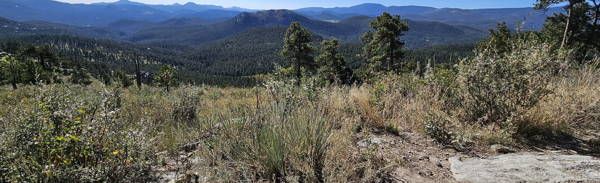 Bergen Peak via Meadow View, Bergen Peak and Too Long Trail Loop: 3.068 ...