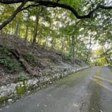 Star Trail, Virginia - 1,056 Reviews, Map | AllTrails