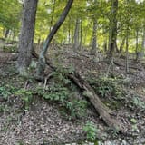 Star Trail, Virginia - 1,056 Reviews, Map | AllTrails