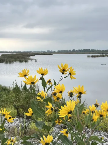 Best Hikes and Trails in Howard Marsh Metropark | AllTrails