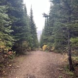 Mount Haig Lake Trail, Alberta, Canada - 403 Reviews, Map | AllTrails