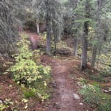 Mount Haig Lake Trail, Alberta, Canada - 403 Reviews, Map | AllTrails