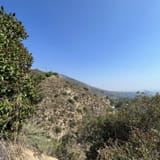 Altadena Crest Trail, California - 662 Reviews, Map | AllTrails