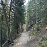 Ceran Saint Vrain Trail, Colorado - 1,900 Reviews, Map | AllTrails