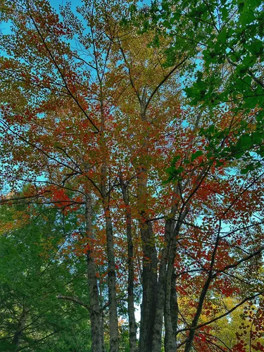 Best Hikes and Trails in Batchelder Mill | AllTrails