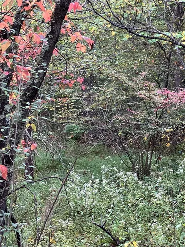 Best Hikes and Trails in Springs Valley Recreation Area | AllTrails