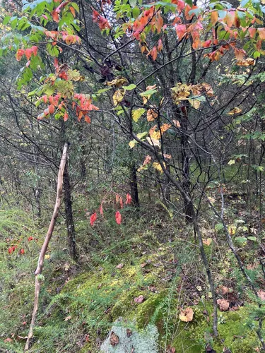 Best Hikes and Trails in Springs Valley Recreation Area | AllTrails