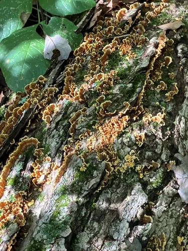 Best Hikes and Trails in Springs Valley Recreation Area | AllTrails