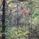 Spring Valley Trail, Indiana - 212 Reviews, Map | AllTrails