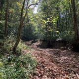 Spring Valley Trail, Indiana - 194 Reviews, Map | AllTrails