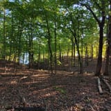 Geode State Park, Iowa - 313 Reviews, Map | AllTrails