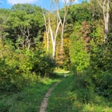 Geode State Park, Iowa - 313 Reviews, Map | AllTrails