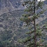 Chelan Lakeshore Trail to Moore Point Campground [CLOSED], Washington ...