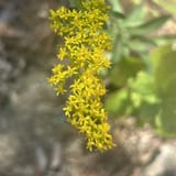 Silver Mine Trail, Missouri - 254 Reviews, Map | AllTrails