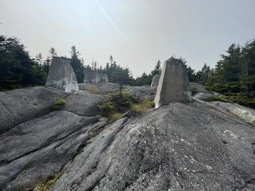 Best Hikes and Trails in Warren | AllTrails