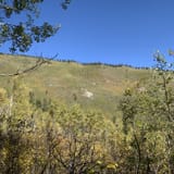 Ben Tyler Trail, Colorado - 611 Reviews, Map | AllTrails
