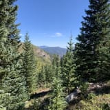 Ben Tyler Trail, Colorado - 611 Reviews, Map | AllTrails