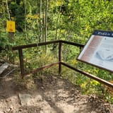 Treasure Falls Trail, Colorado - 1,193 Reviews, Map | AllTrails