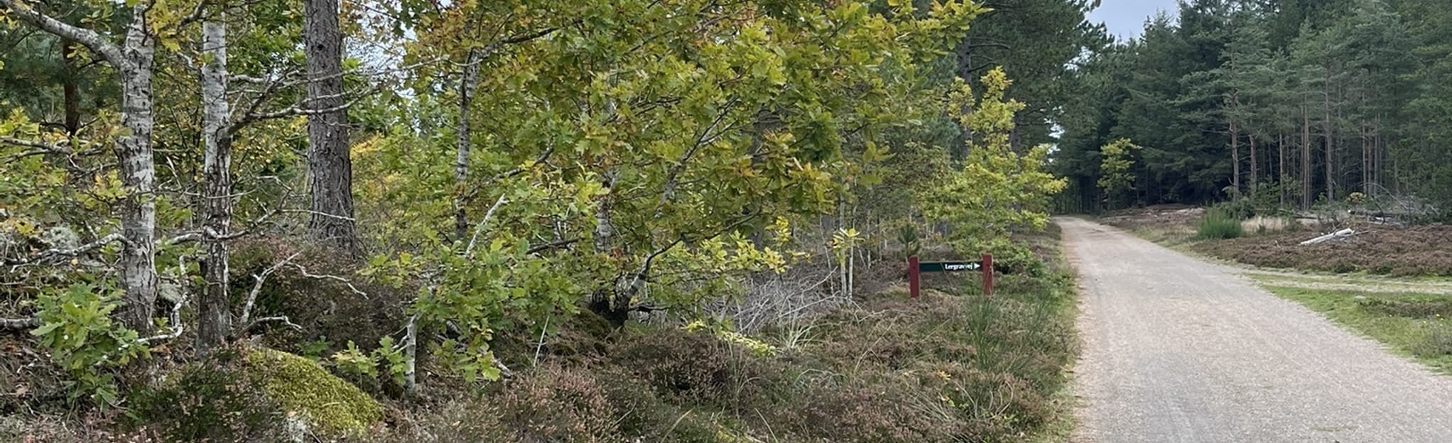 Hjertestien Husby Plantage: 20 Reviews, Map - Central Denmark, Denmark ...