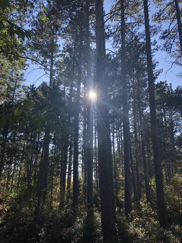 Best 10 Hiking Trails in Seney National Wildlife Refuge | AllTrails