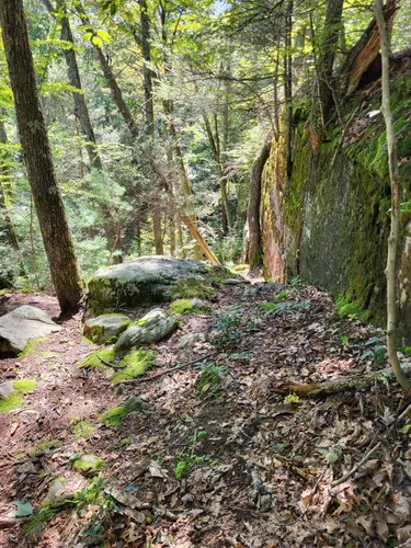2023 Best Long Trails in Cockaponset State Forest | AllTrails