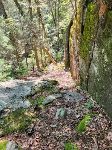 2023 Best Long Trails in Cockaponset State Forest | AllTrails