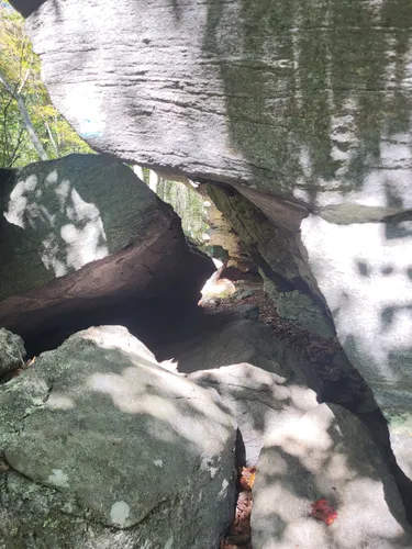 2023 Best Long Trails in Cockaponset State Forest | AllTrails