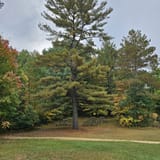 Navarino Nature Center Loop Trail, Wisconsin - 169 Reviews, Map | AllTrails