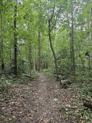 Best Hikes and Trails in Joseph Bryan Park | AllTrails