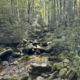 Sutton Ridge Overlook Trail, Tennessee - 495 Reviews, Map | AllTrails