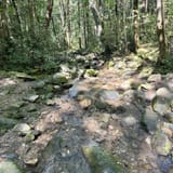 Sutton Ridge Overlook Trail, Tennessee - 495 Reviews, Map | AllTrails