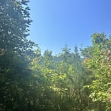 Sutton Ridge Overlook Trail, Tennessee - 495 Reviews, Map | AllTrails