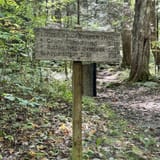 Sutton Ridge Overlook Trail, Tennessee - 495 Reviews, Map | AllTrails