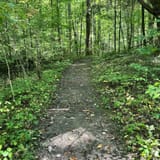 Sutton Ridge Overlook Trail, Tennessee - 495 Reviews, Map | AllTrails