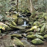 Sutton Ridge Overlook Trail, Tennessee - 495 Reviews, Map | AllTrails