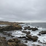 Salt Point Trail to Stump Beach, California - 717 Reviews, Map | AllTrails