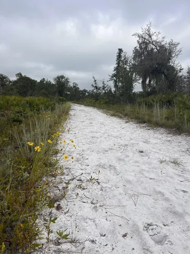 Best Hikes and Trails in Chito Branch Reserve | AllTrails