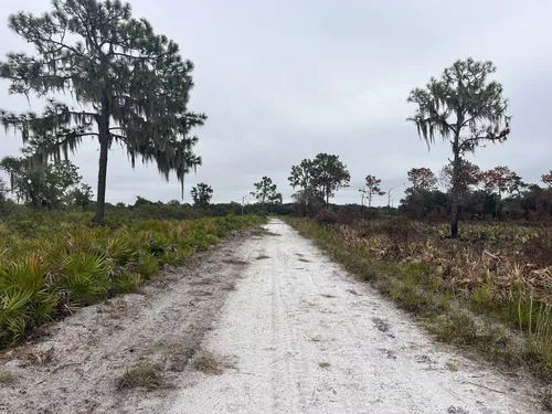 Best Hikes and Trails in Chito Branch Reserve | AllTrails